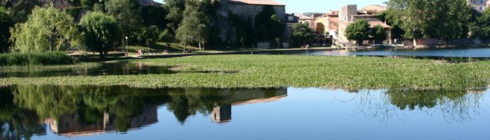 Site officiel de la commune de Besse-sur-Issole